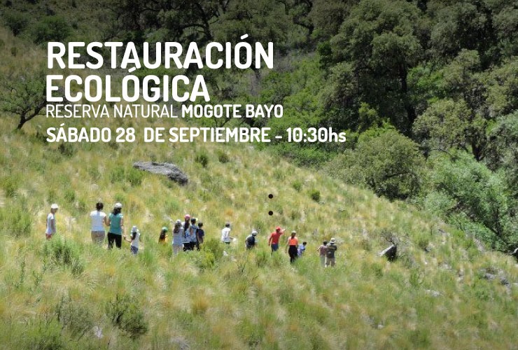 San Luis: la reserva natural “Mogote Bayo” comenzará su restauración ...